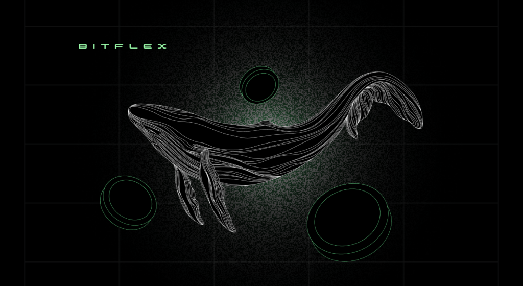 What Are Crypto Whales And How Can You Spot Them? | COINFLEX
