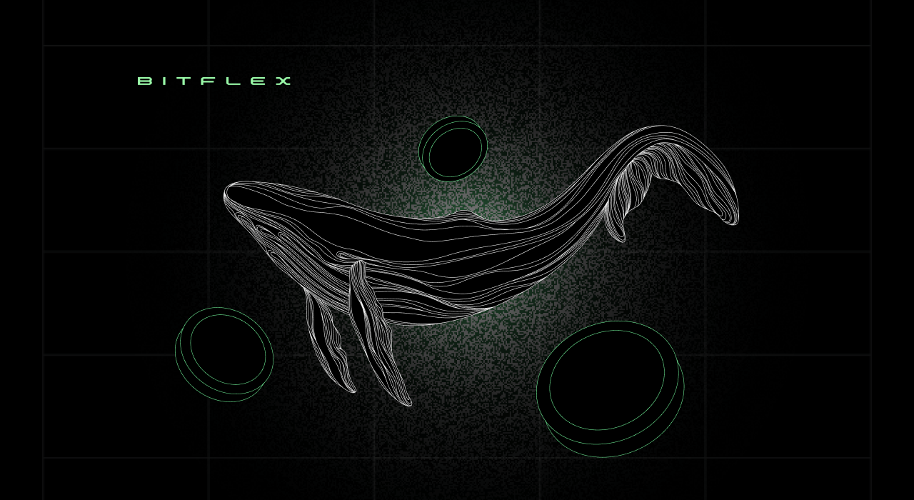 What Are Crypto Whales And How Can You Spot Them? | COINFLEX
