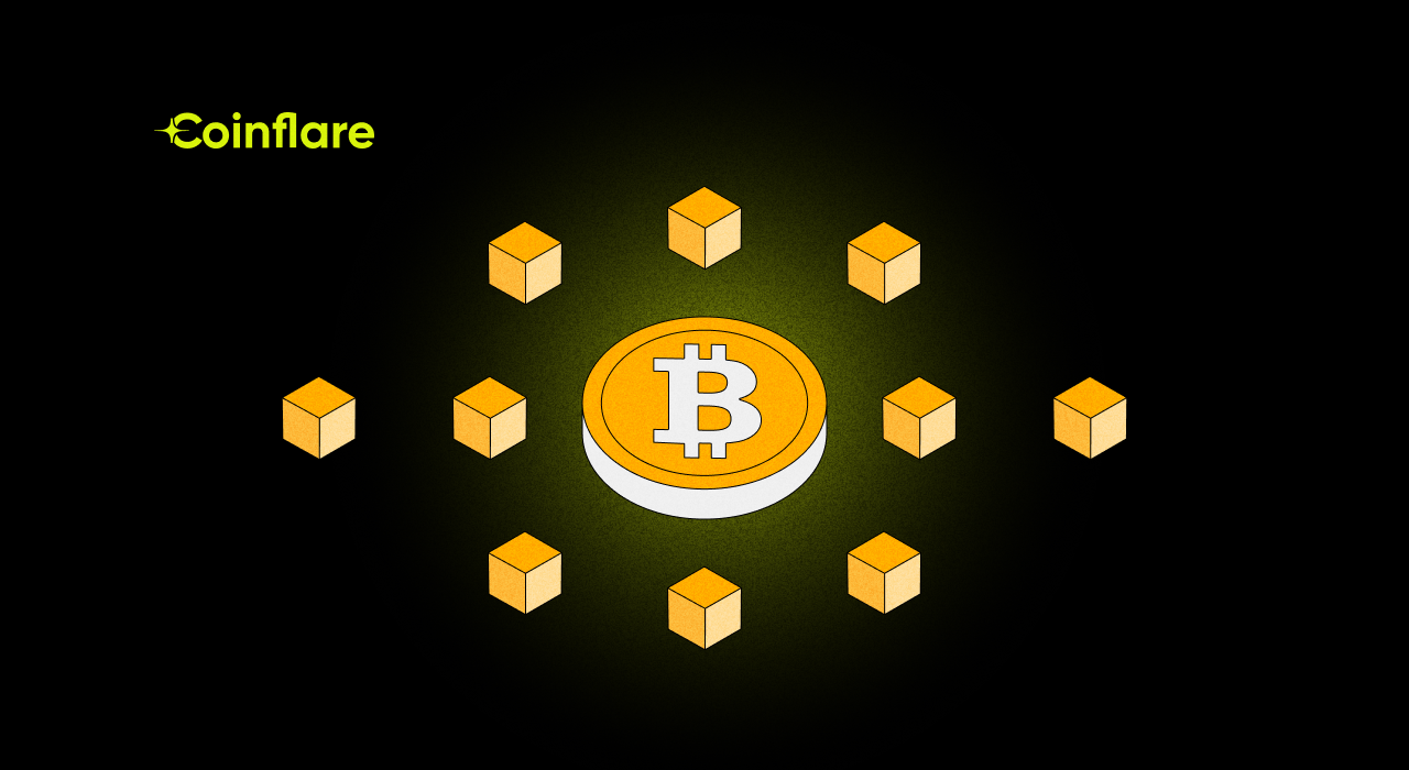 How To Use A Bitcoin Blockchain Explorer | COINFLARE